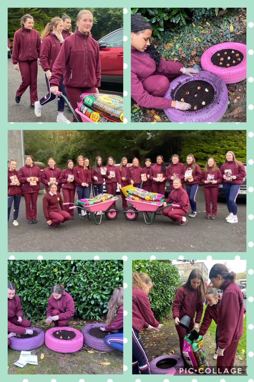 Home - Loreto College Cavan